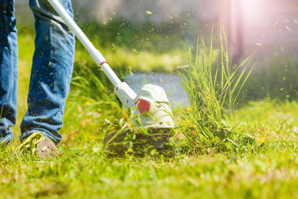 Get Moving Michigan: Yardwork as a Workout - ThinkHealth