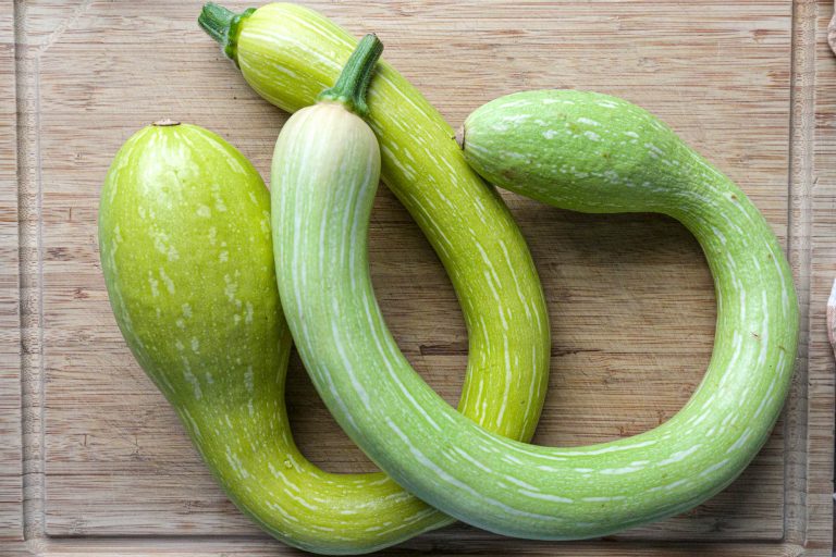 Fall harvest: a family tradition - ThinkHealth