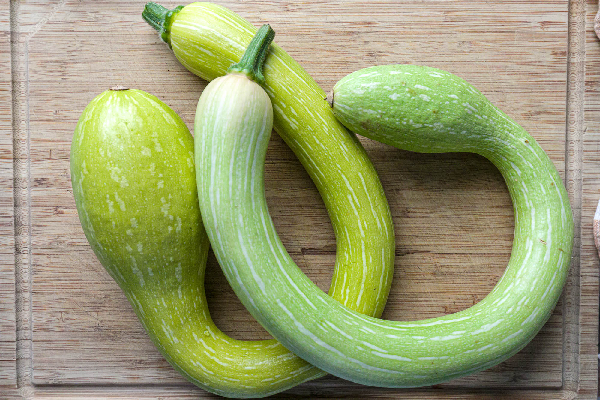 Fall harvest: a family tradition - ThinkHealth